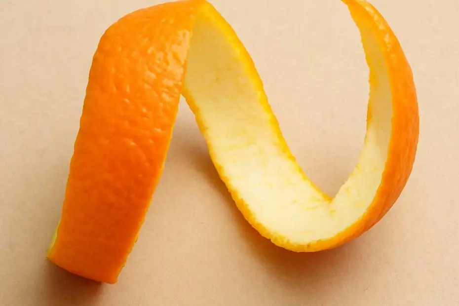 ICAR–CCRI & VNIT Develop Citrus-Peel-Based Biodegradable Packaging ...