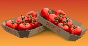 Romanian tomato sector shifts to fibre-based packaging ...