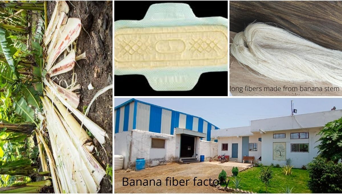 Eco-friendly paper and cloth from banana tree waste ...