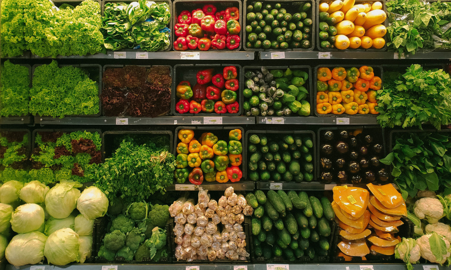 New ‘Spray-On Wrapper’ Offers Plastic-Free Food Packaging Alternative ...