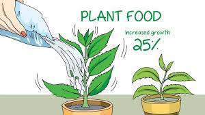 Enviro Ice The Most Eco-Friendly, Drainable Ice Pack | Packaging ...