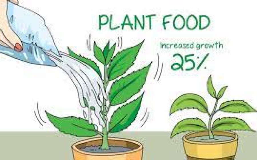 Enviro Ice The Most Eco-Friendly, Drainable Ice Pack | Packaging ...