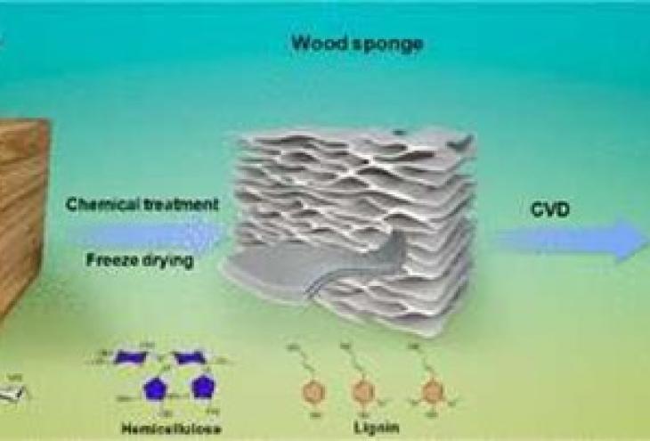 WOOD SPONGE: Material Technology | Packaging Connections