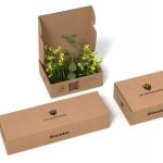 The Future of Sustainable Packaging: Dow introduces INNATE™ TF ...